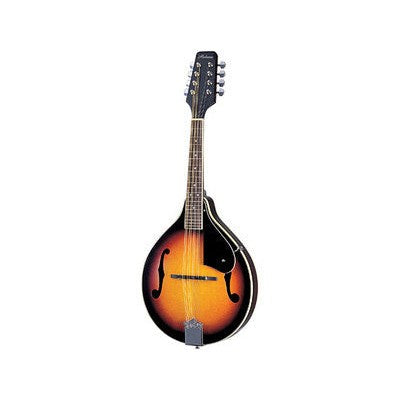 Alabama - Tobacco Sunburst Mandolin ALM15 – Steve's Music Store