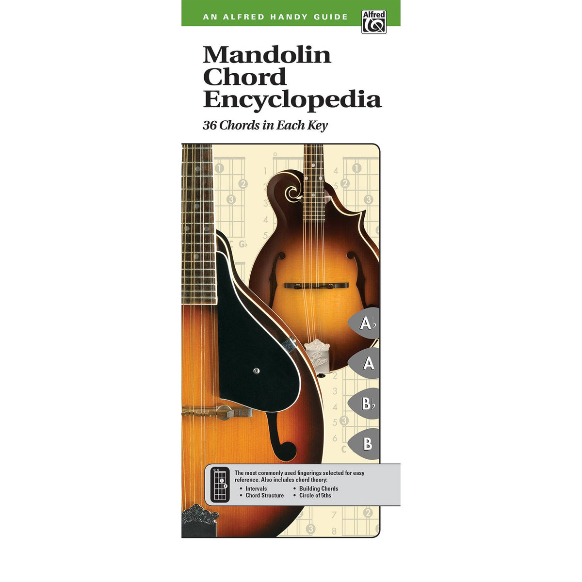 Mandolin Chord Encyclopedia (2nd Edition) – Steve's Music Store