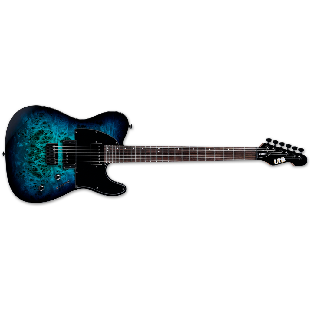 ESP - LTD TE-200DX - Blue Burst – Steve's Music Store